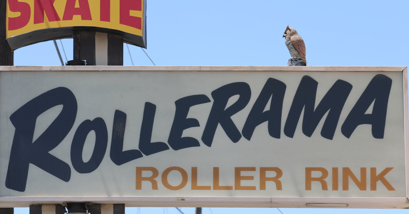 About Us – Roller Rinks